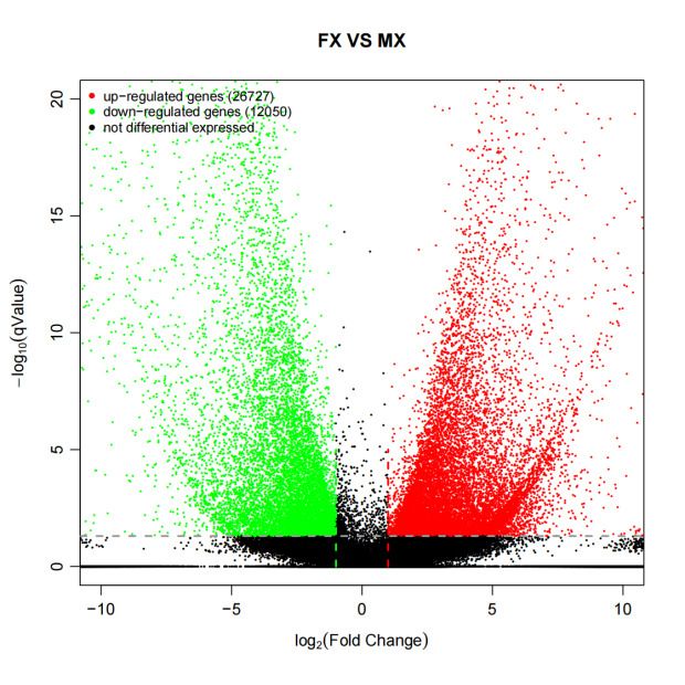 Transcriptomic analysis of key sex-differentiation genes in wild Atrina ...