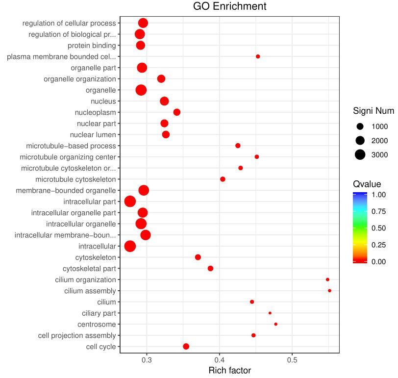 Transcriptomic analysis of key sex-differentiation genes in wild Atrina ...